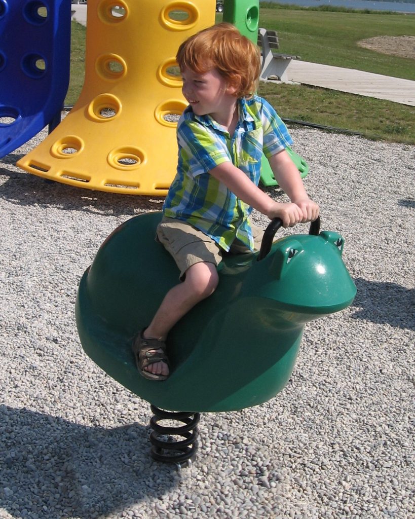 Riding Animals - SPI Plastics